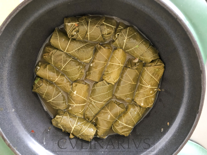 Vegan dolma’s met een groentenvulling – CULINARIUS